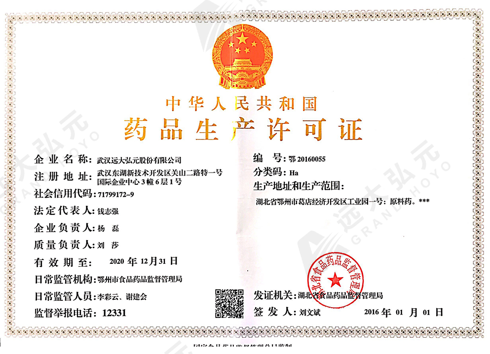 Wuhan Grand Hoyo Co.,Ltd.